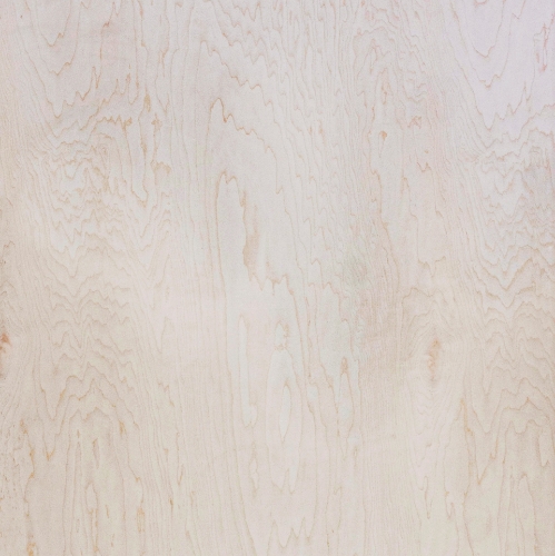 Sierra | White Maple Sierra Rotary Sliced Whole Piece Face Prefinished Plywood