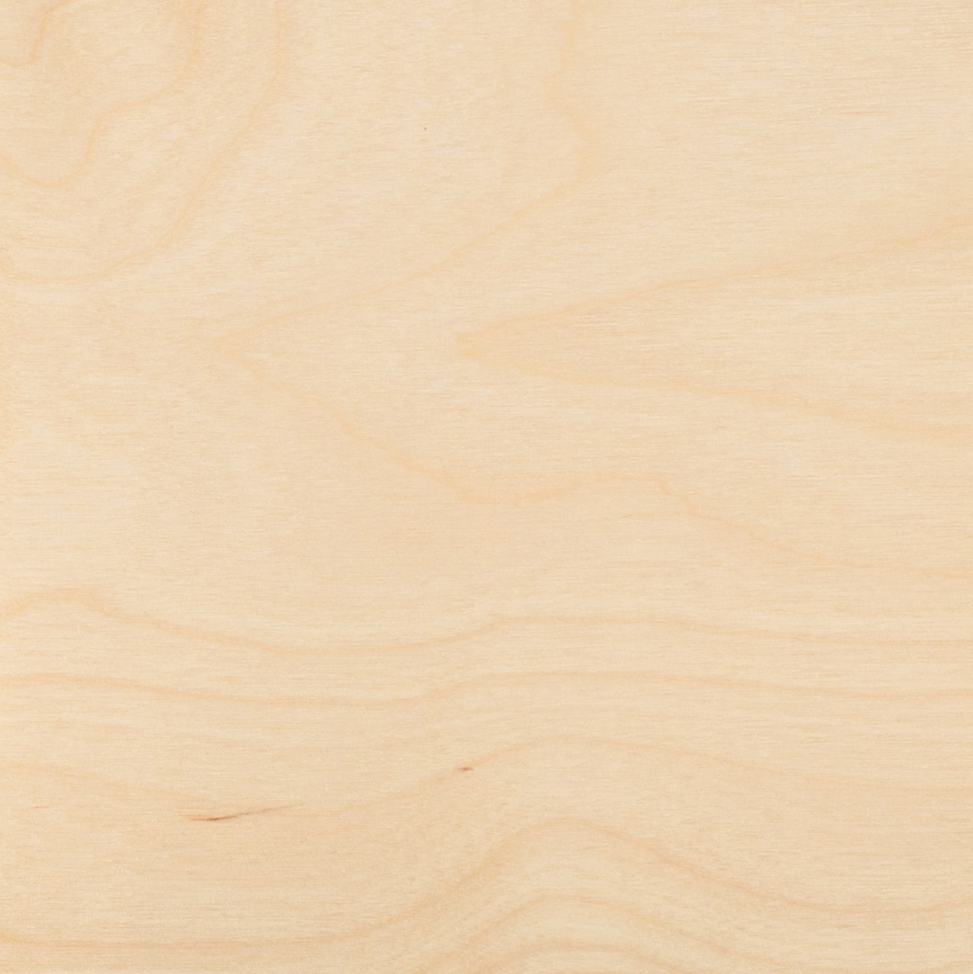 Birch Plywood Texture