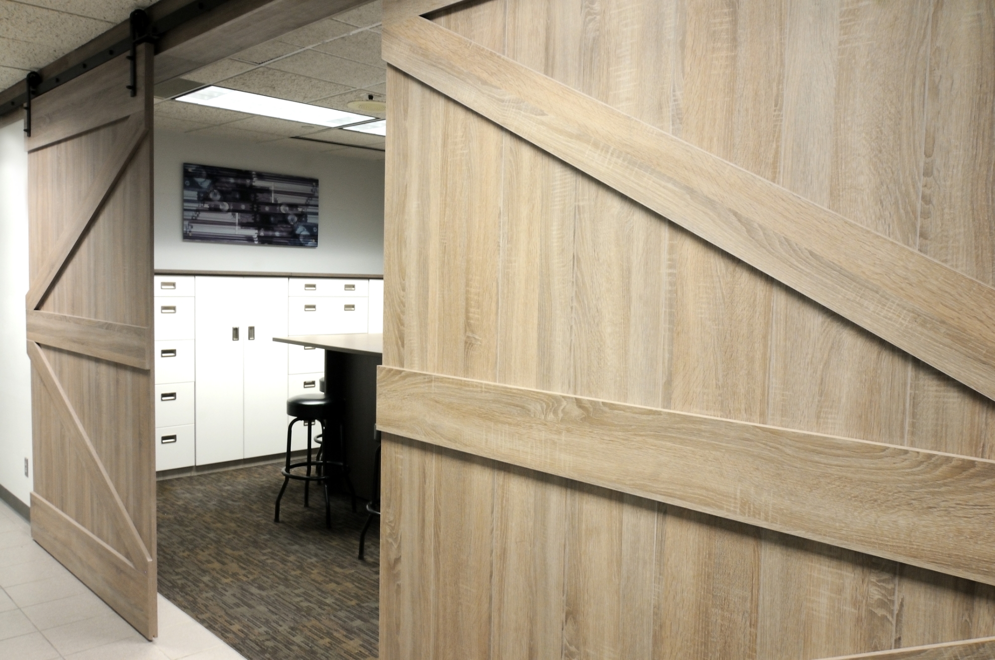Sierra | Panolam Surface Systems® | Passage Doors