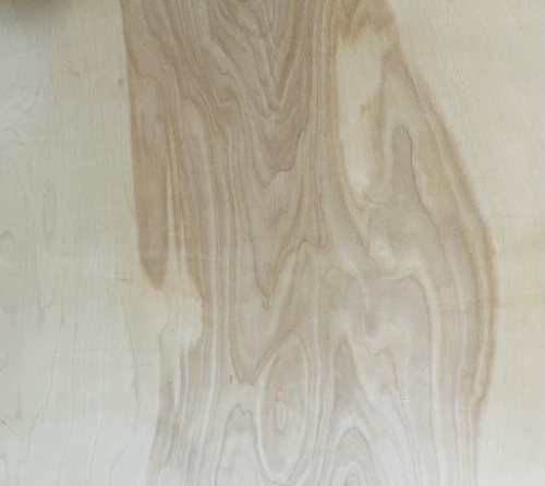 Sierra | Natural Birch C Grade Rotary Sliced Whole Piece Face ElementPly™ Plywood